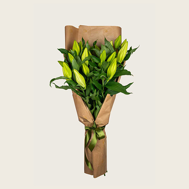 Ljiljan orijentalni - Cvjećarnica Škrinjarić